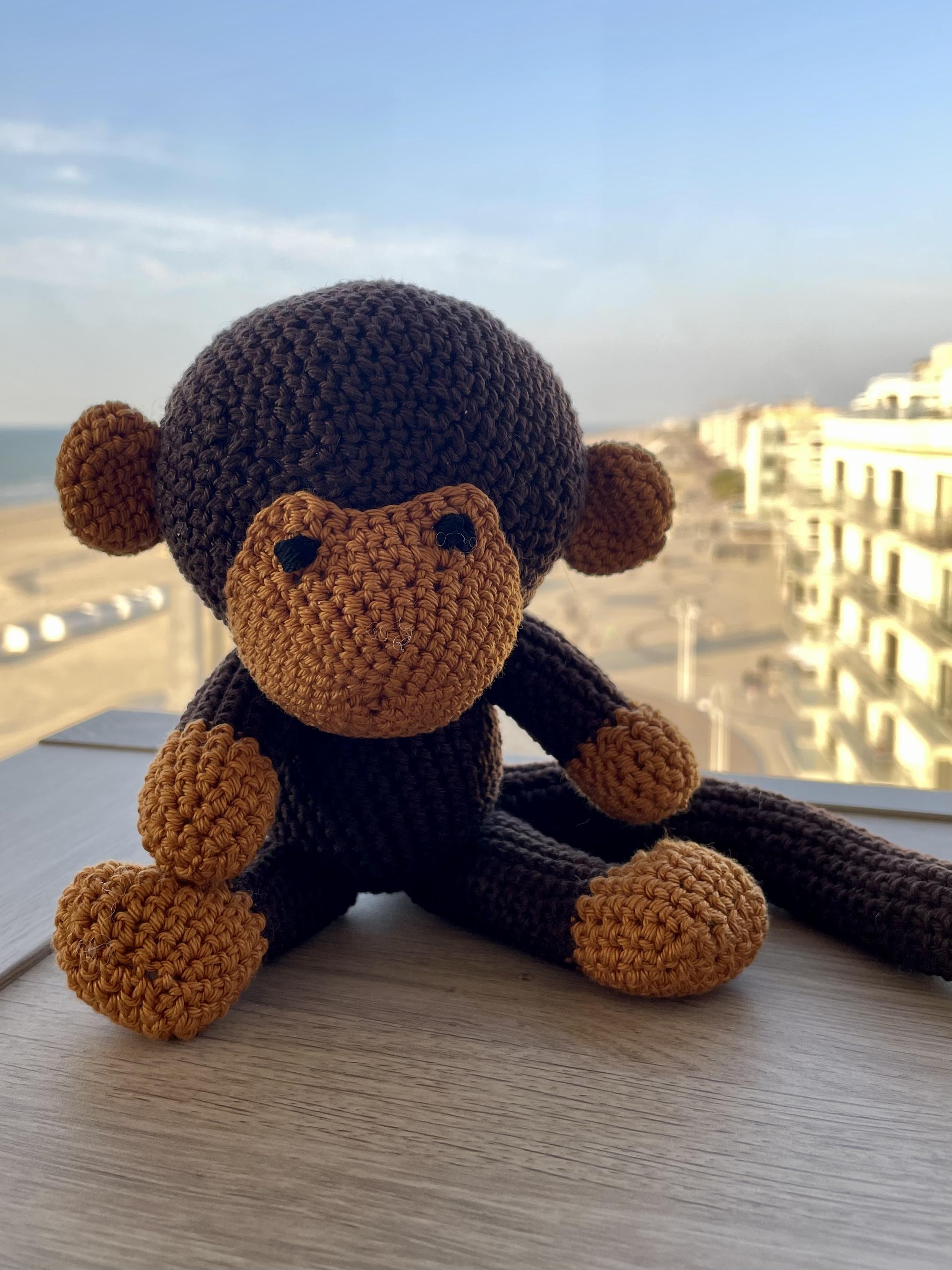 Amigurumi.com - Creations - Johnny the Monkey from Zoomigurumi 1